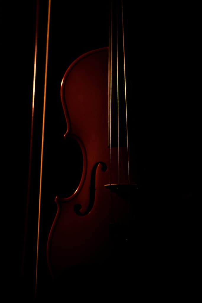 The History of the Violin: Origins, Development, and Future ...
